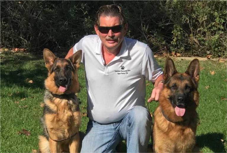 11 Types of German Shepherds: Colors, Coats & Bloodlines